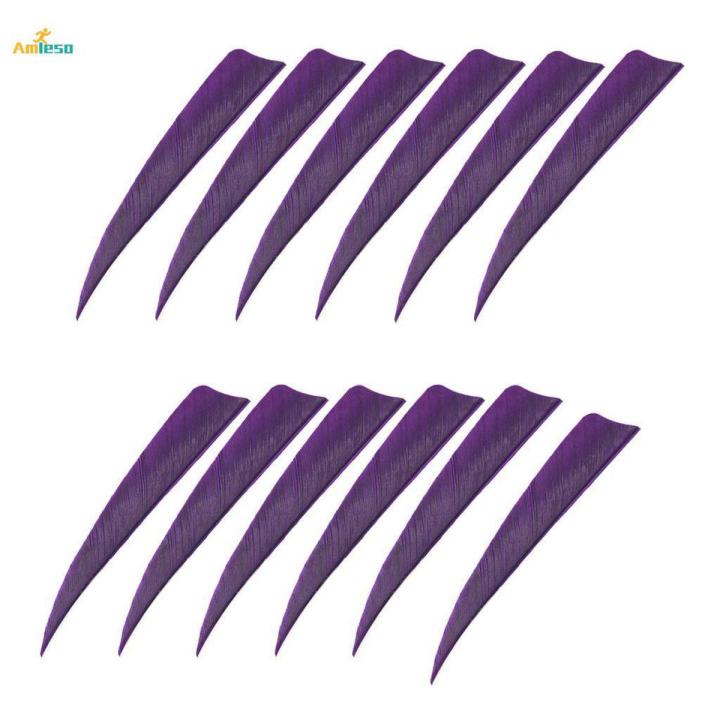 5X 12 Pieces 4 Inch Archery Arrow Feathers Fletchings Vanes Purple ...