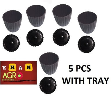 4 inch flower tob stapelia planter 5 pics | Daraz.com.bd