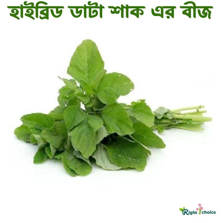 Hybrid Data shak seeds 3000+ pice & gift | Daraz.com.bd
