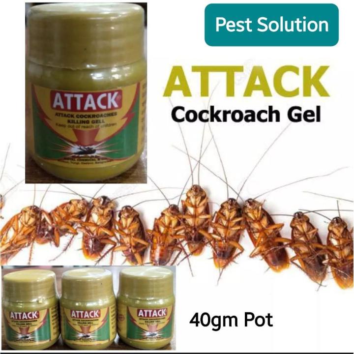 Attack Cockroach Gel 40 gm 1 pis | Daraz.com.bd