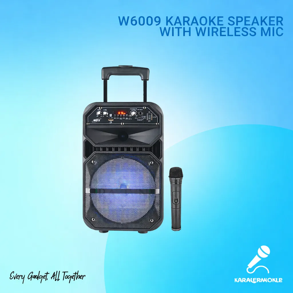 W6009 Portable Karaoke Speaker 800W Rechargeable LED Light Bluetooth ...