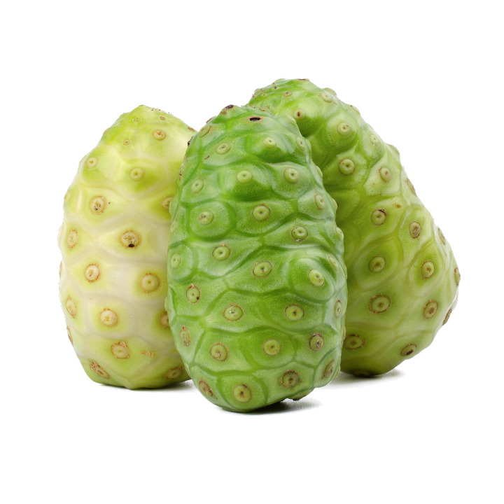 Cancer curing Noni Fruit -500gm | Daraz.com.bd