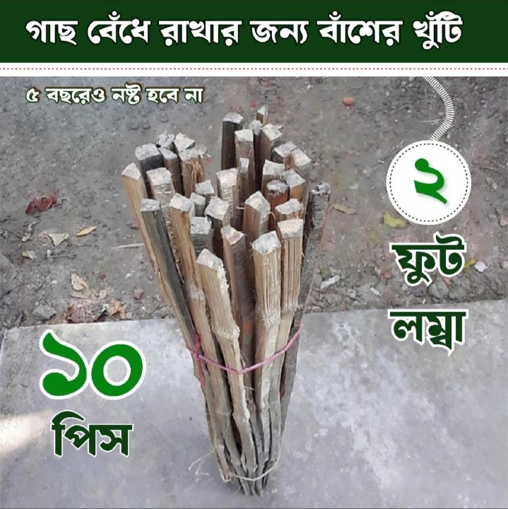 বাঁশের খুঁটি 2 ft (১০ পিস) / Bamboo Stick 2 ft (10 pcs) / Garden ...