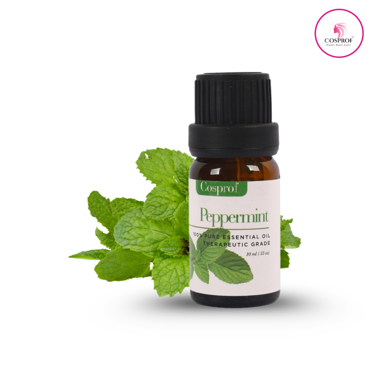 Cosprof Peppermint Essential Oil 10 ml | Daraz.com.bd
