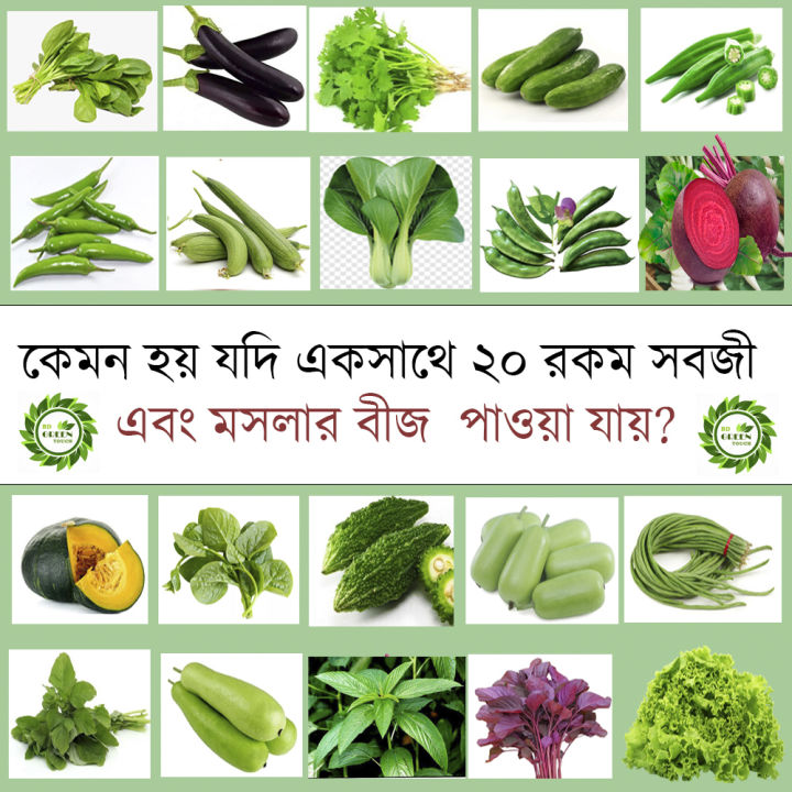 20 Type Vegetable & spicy seed ( fulkopi, chilli, Borboti, lalshak ...
