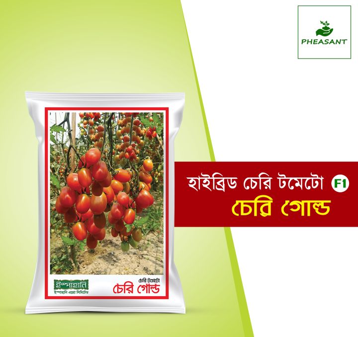 Hybrid (F1) Cherry Tomato (চেরি টমেটো) Seed Cherry Gold (Mini Intact ...