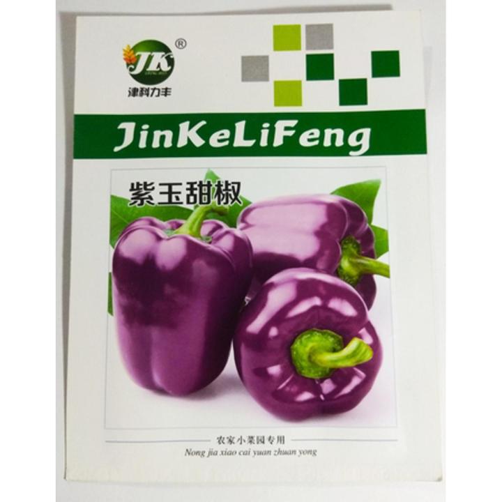 PURPLE CAPSICUM SEEDS ( INTAKE PACKET ) - 100 PLUS SEEDS | Daraz.com.bd