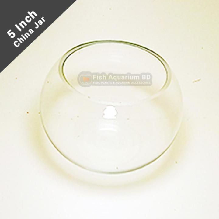 Fighter Jar Transparent Fish Glass Bowl or Jar 5 inch Fish Jar (China ...