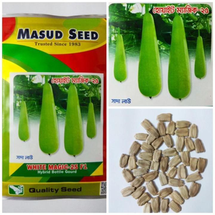 HYBRID WHITE ROUND GOURD SEED, THAI VAREITY, LOOSE FROM INTAKE PACKET ...