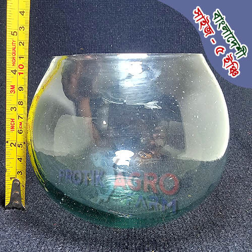 Deshi Glass Fish Bowl | Mini Aquarium | Deshi Betta Fish jar | Fighter ...