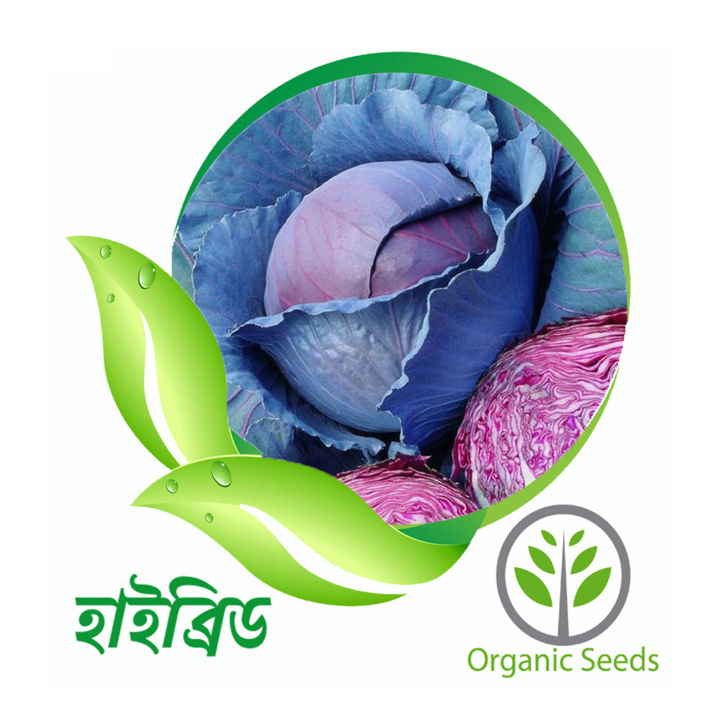 Ruby King Red - 25 pieces F1 Hybrid - Grow Your Own Healthy & Fresh ...