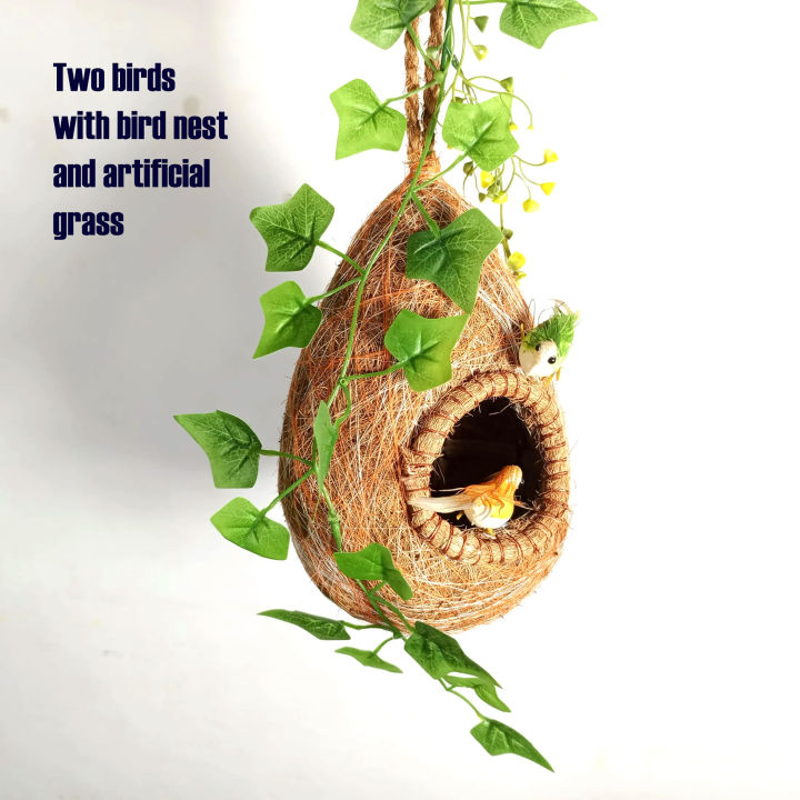 Hanging Bird Nest with 2 Birds & Plant – Babui Pakhir Basha Home ...