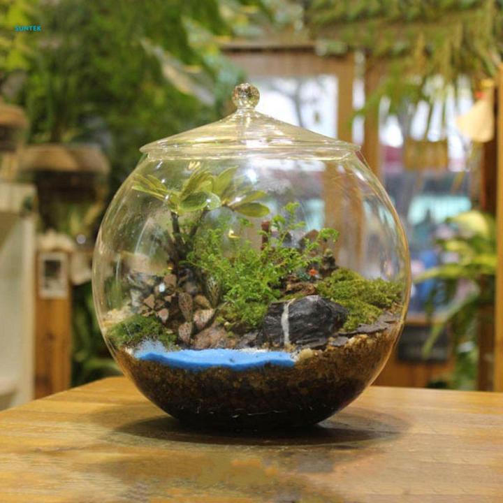 Glass Terrarium, Glass Plant Container, Sealed Storage Jar, Centerpiece ...