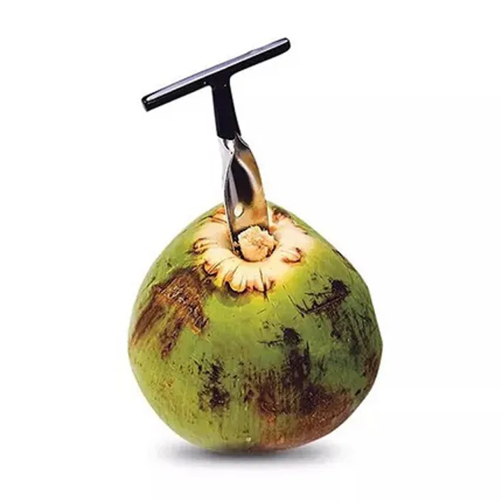 Coconut Hole Opener/Coconut Opener/Coconut Cutter/Dav Opener | Daraz.com.bd