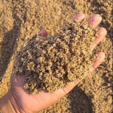 Red Sand / Selection sand - Processed Red Sand For Gardening And Making ...