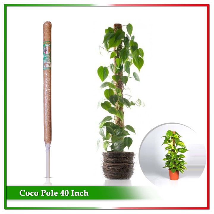 40 Inch Coco Pole (Plant Support) - 1 Pcs | Daraz.com.bd