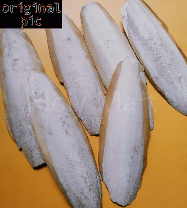 big size cuttle fish bone for birds cuttlebone cattle bon 100g | Daraz ...