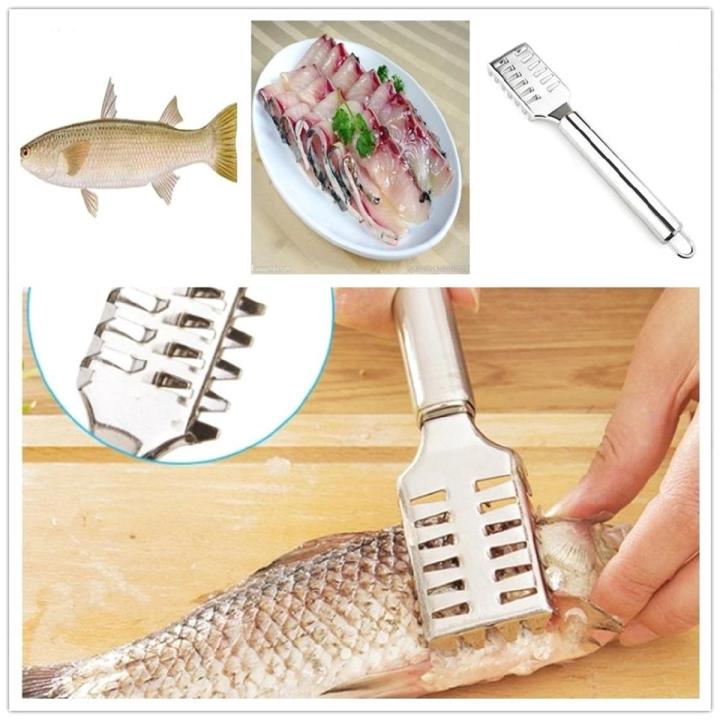 Stainless Steel Fish Scale Cleaner - Silver | Daraz.com.bd