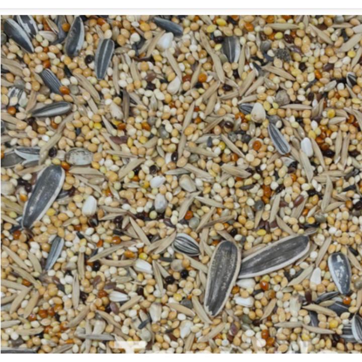 Seed Mix For Bird (Regular)-1kg | Daraz.com.bd