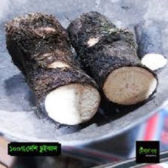 Chui Jhal Middle Part- 100gm | Daraz.com.bd