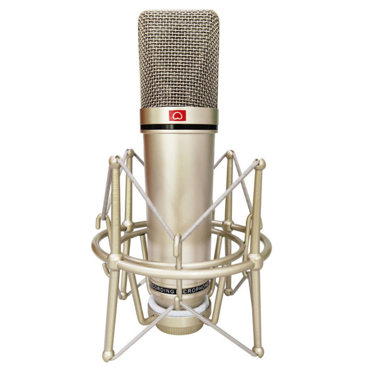 Professional Studio Record Condenser Microphone U87 With Shock Mount ...