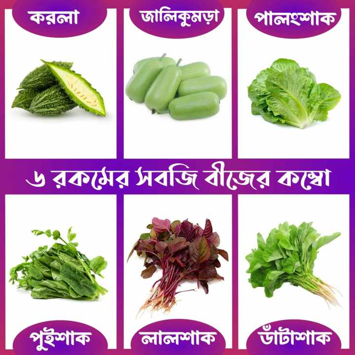 All Season Hybrid Vegetable Seeds (Fresh Seeds) Best Vegetable Combo ...