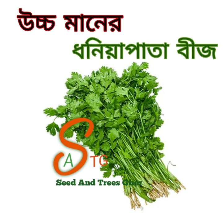 Dhoniya Pata Seed 10 +- gm Coriander leaf seeds 1000 +- pice | Daraz.com.bd