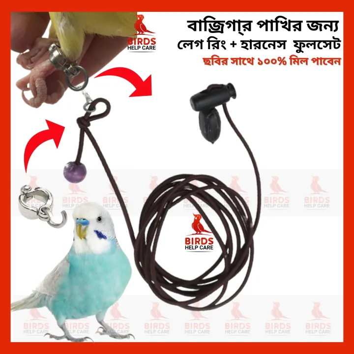 Budgerigar Birds Leg Chain & Harness full setup 1PCS | Daraz.com.bd