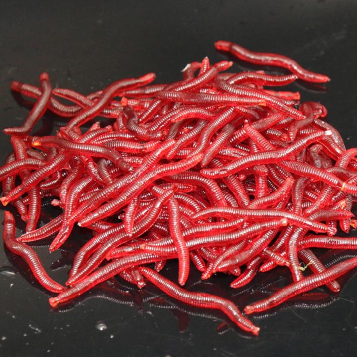 Premium Quality - 100 pice silicone red worm soft alluring pebber tope ...
