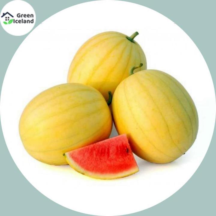 All Season Yellow watermelon Bonsai Seeds - 10 Pcs Seeds | Daraz.com.bd