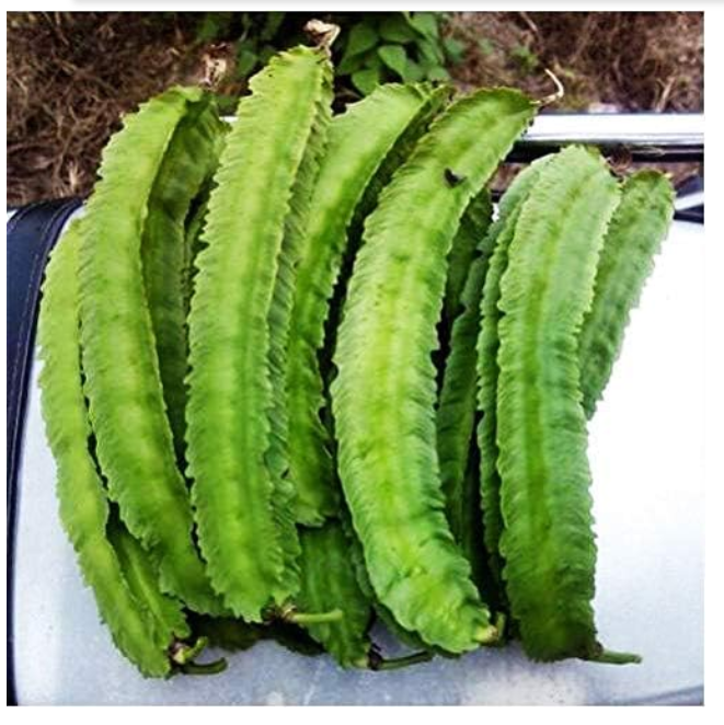 Winged Bean - Asian Bangladeshi Thai Vegetable, Goa/Angled/Wing Bean ...