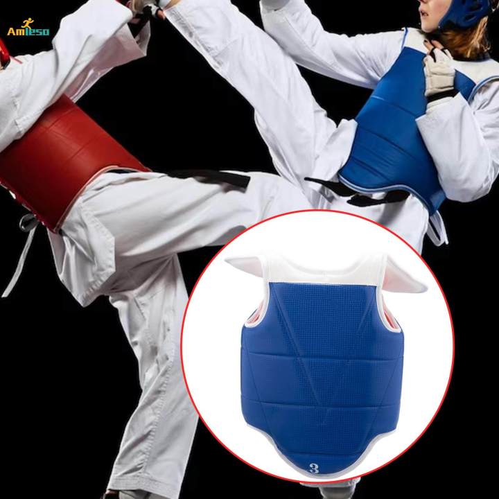 Taekwondo Protector Vest Chest Guard Rib Body Heavy Punching Mma S ...