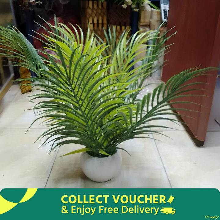 Artificial Plastic Palm Plant Tree | Daraz.com.bd
