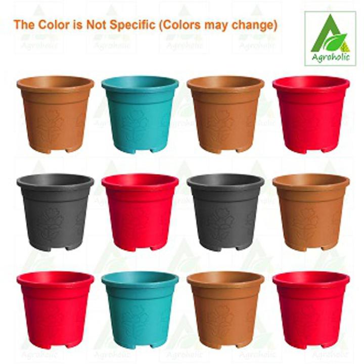 4 Inch BP Round Planter - 12 Pcs | Daraz.com.bd