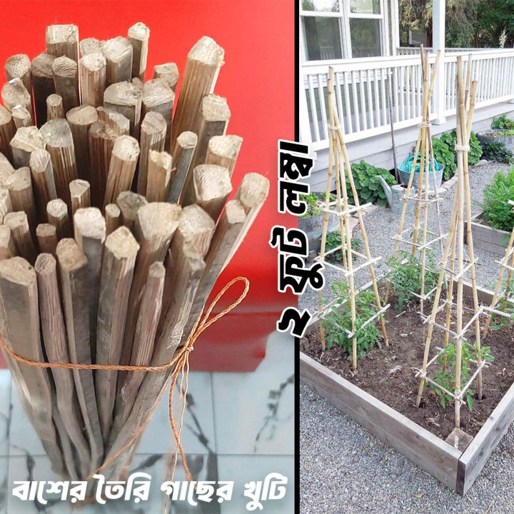 Best Quality Gardening Stick for top plant Roof garden-10 pcs/ Bambow ...