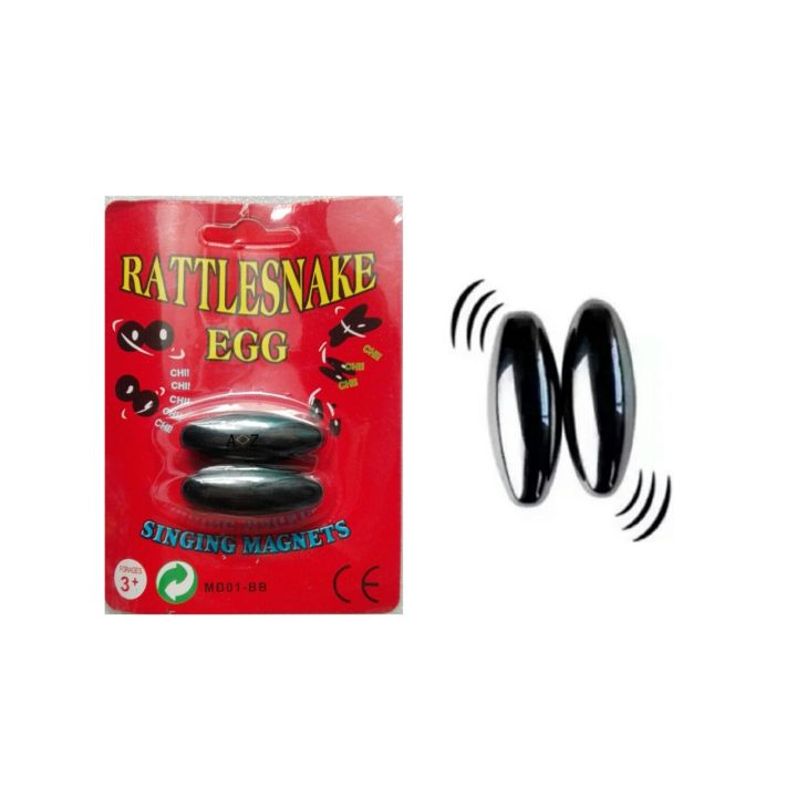 Rattlesnake Egg MAGNETS- 4 Pcs | Daraz.com.bd