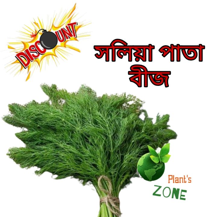 soya/soila/শইলা pata seed 10 gm | Daraz.com.bd