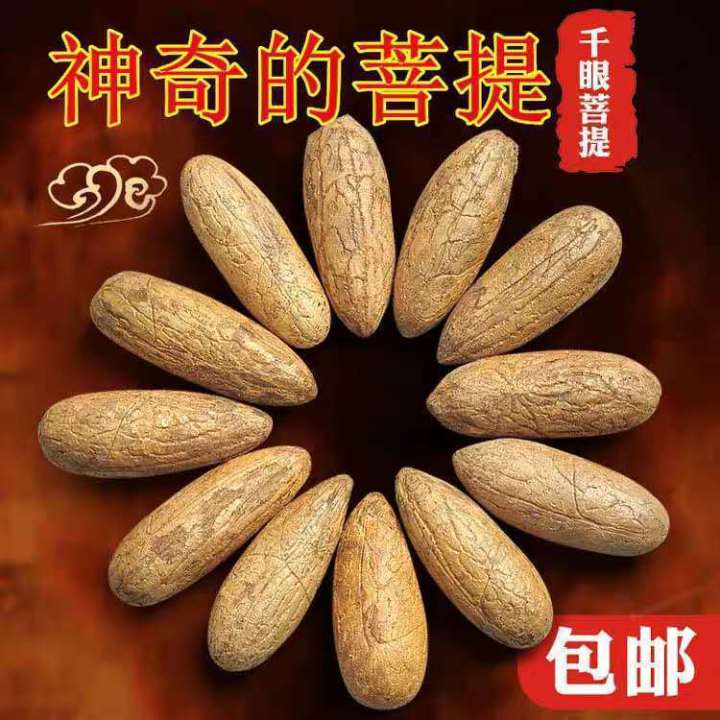 Thousand-Eye Bodhi Raw Material Original Seed Buddha Heart Fruit Jade ...