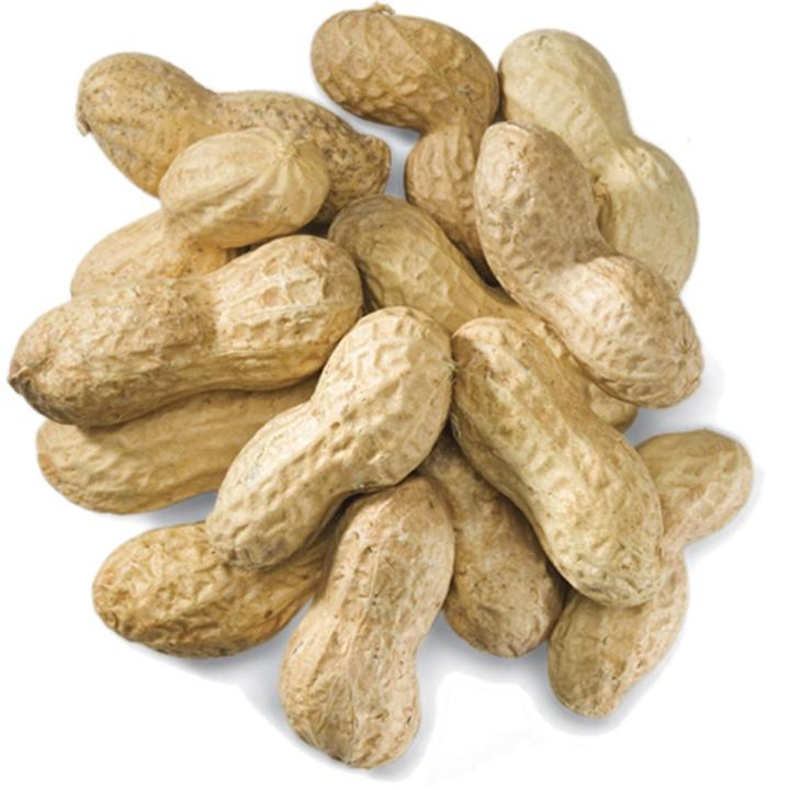 Raw Peanut |China Badam | Kacha Badam | Chinabadam - 500Gm - Badam ...
