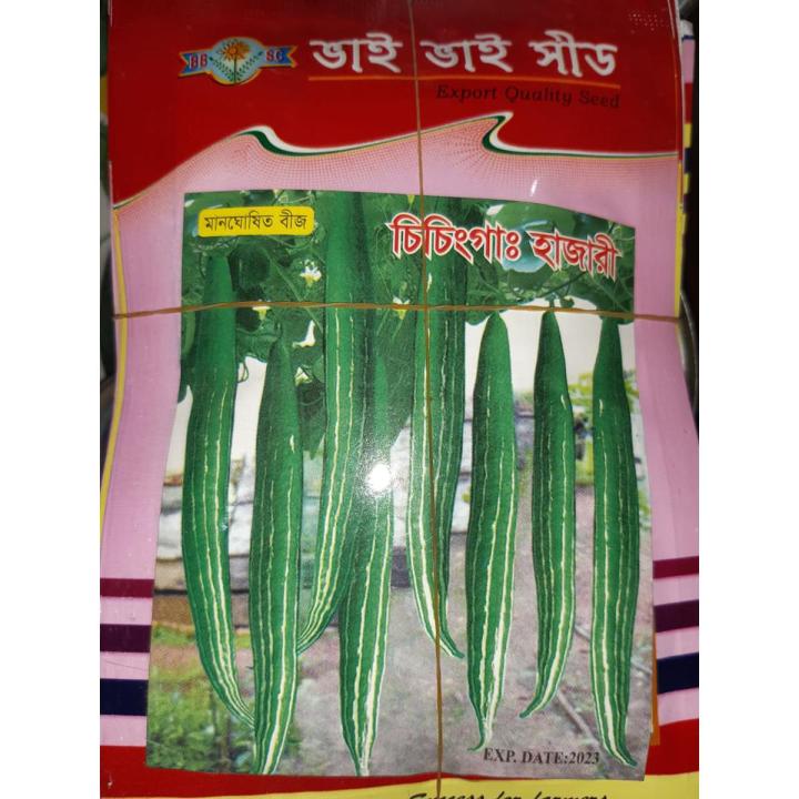 Hybrid Chichinga Seed / Snake Gourd Seeds Mini pack ( 2 Intact Pack ...