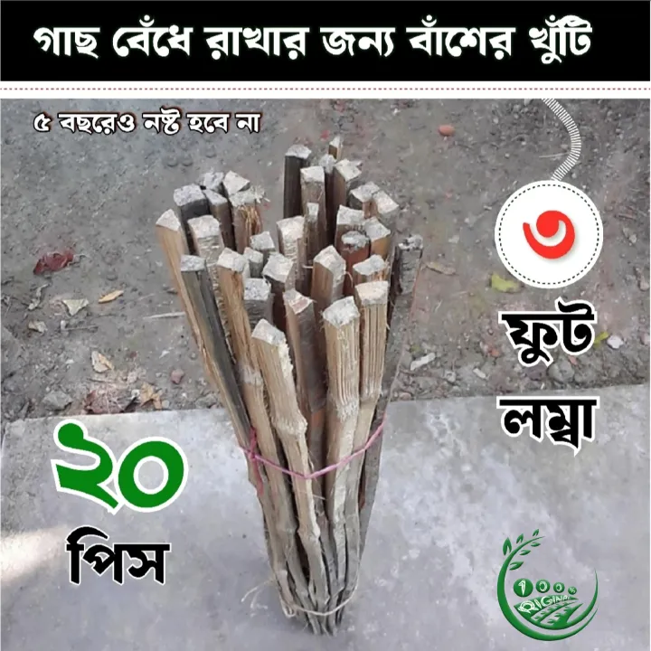3 feet long bamboo tree poles 20 pieces | Daraz.com.bd
