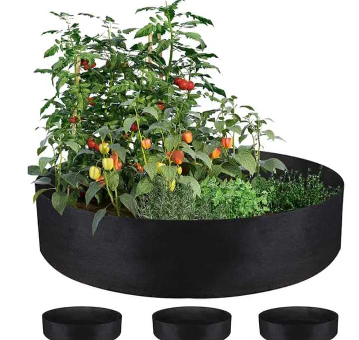 Special Combo Odder 10 peace's Vegetable Premium Quality Round GEO Bed ...