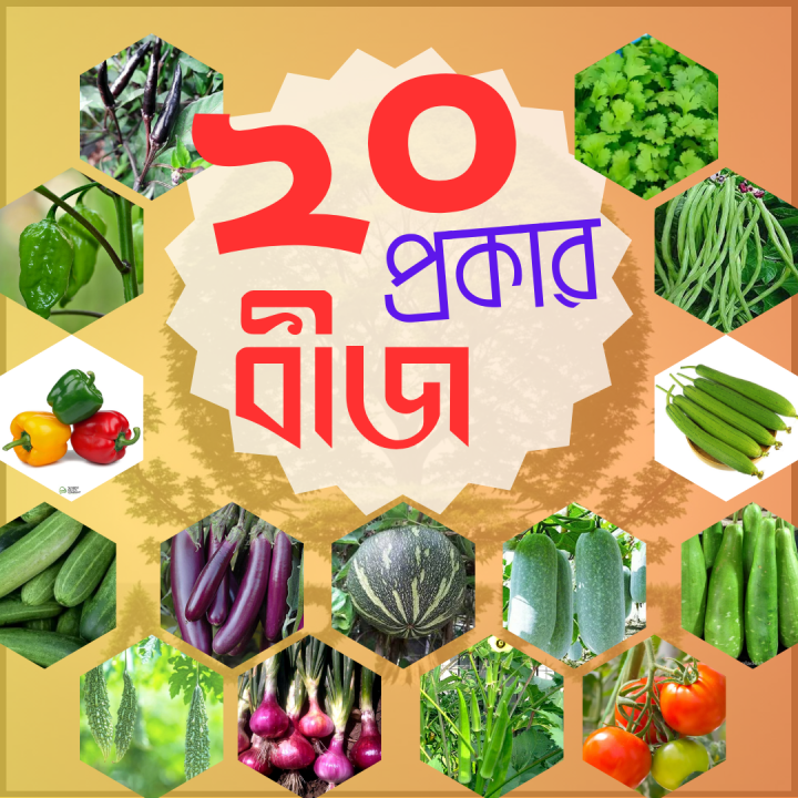 20 item seed combo package - 2000+ seed | Daraz.com.bd