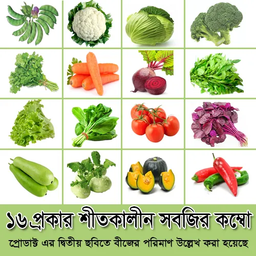 16 Type Winter Vegetables Seed Combo - Brocoli, Badhakopi, ulkopi, Lau ...