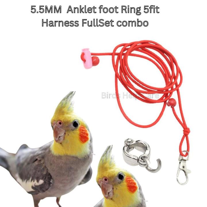 5 Fit Long Elastic harness with anklet 5.5 mm for cockatiel bird (full ...