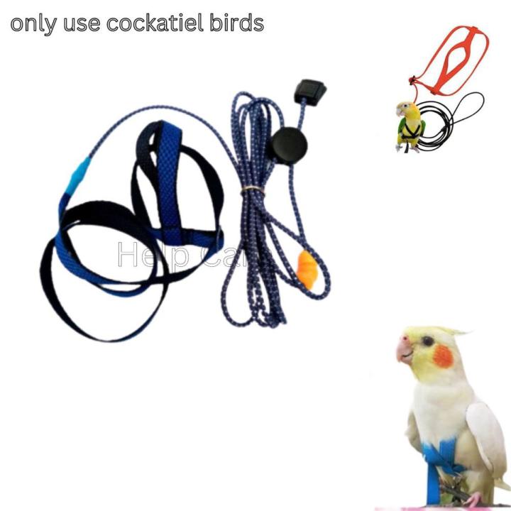 Adjustable Parrot Bird Harness Leash Anti-Bite Flying Training Rope Pet ...