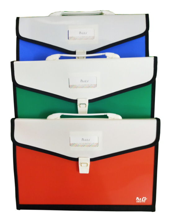 BILI Plastic File Folder with 12 Pockets, Handle, Index Tab, A4 Size ...
