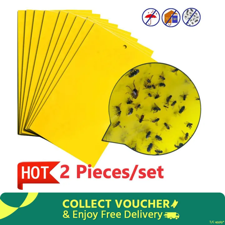 Double-sided insect trap tea garden orchard blue stained trips yellow ...