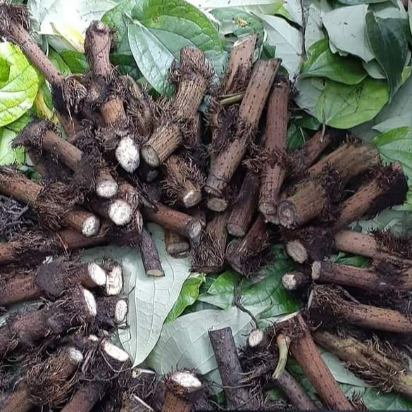 Chui Jhal -500g | Daraz.com.bd