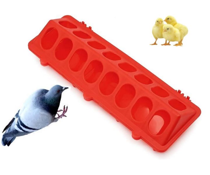 Food pot for pigeon | Daraz.com.bd